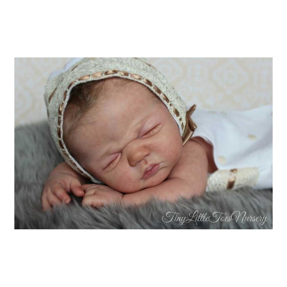 Sandy Faber's Benji boy body with connectors